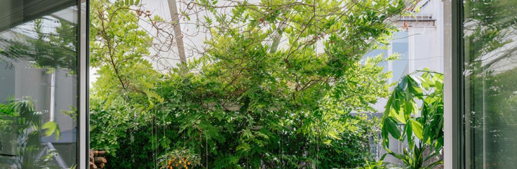 მთავარი